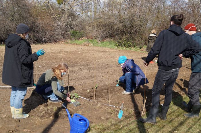 Pflanz-Workshop – Christophorus-Schule Düren